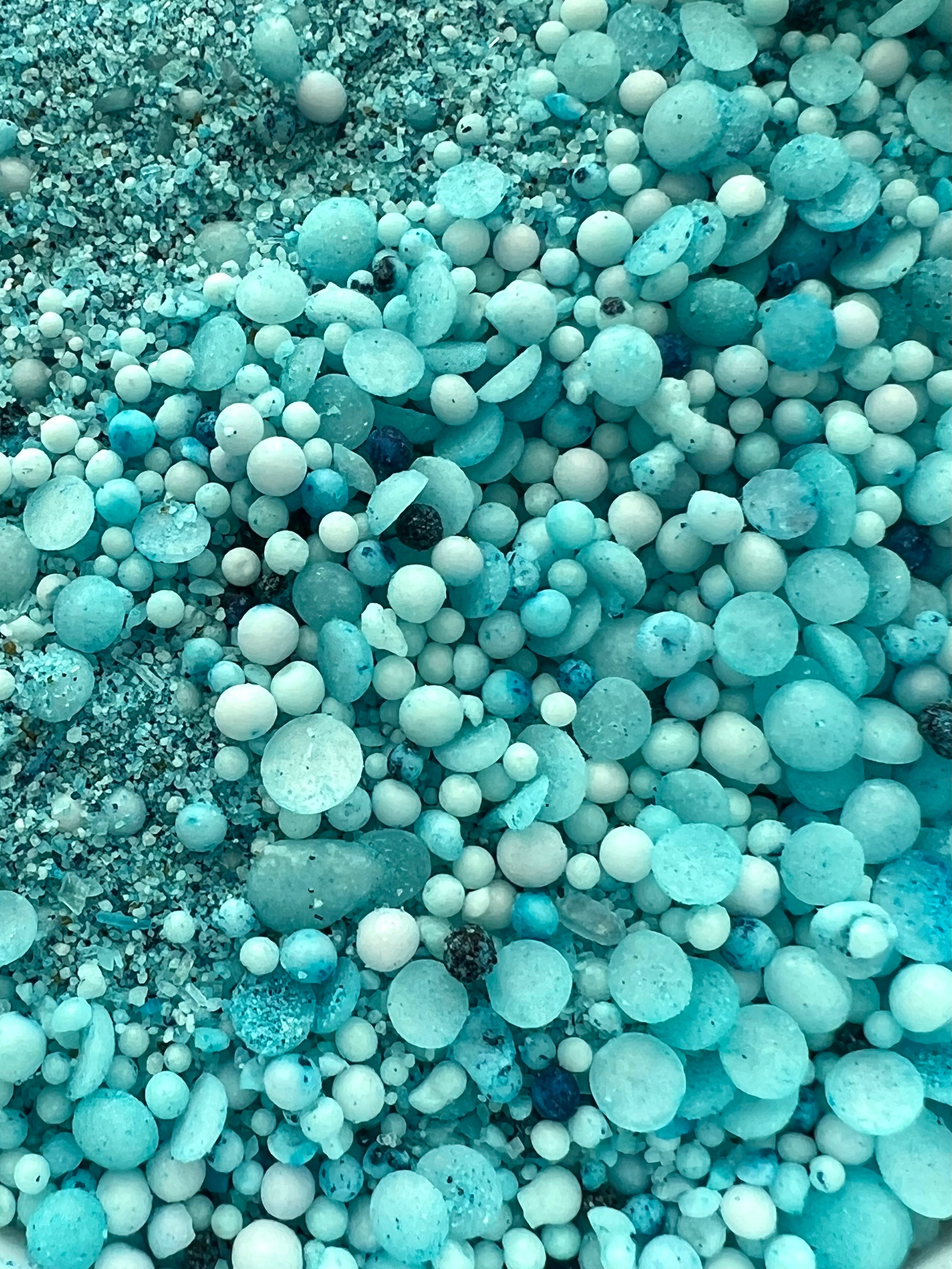 The Houseplant Collector's Introduction to Fertilizers: Types, Release ...