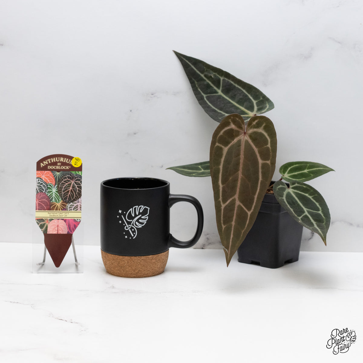 Anthurium Red Velvet Cake '24' x Zara '29' by DocBlock® (wk46-R) – Rare ...