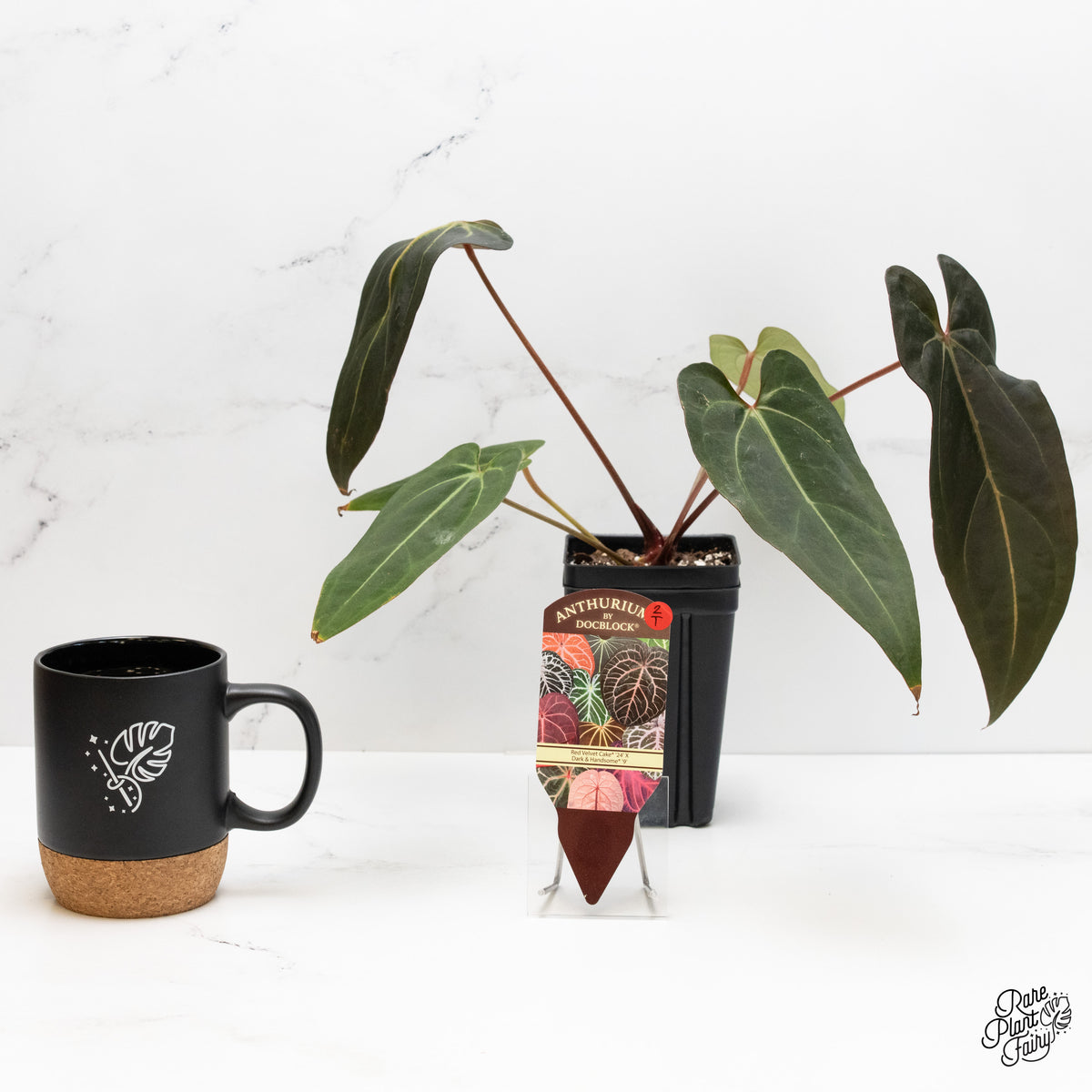 Anthurium Red Velvet Cake '24' x Dark & Handsome '9' by DocBlock® (wk2 ...