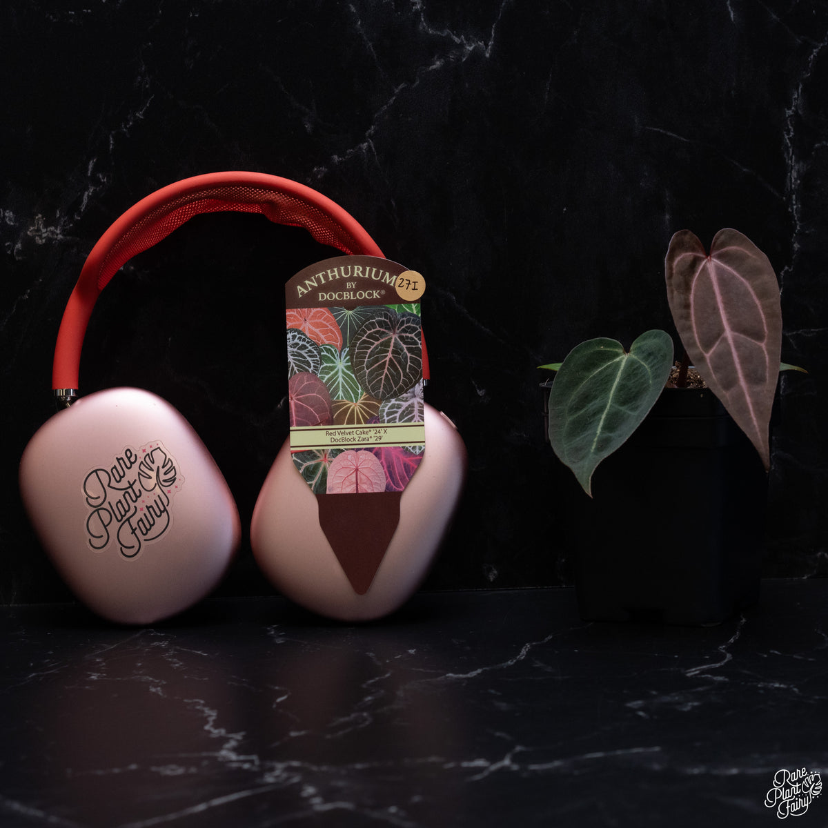 Anthurium Red Velvet Cake '24' x DocBlock Zara '29' by DocBlock® *Dark ...