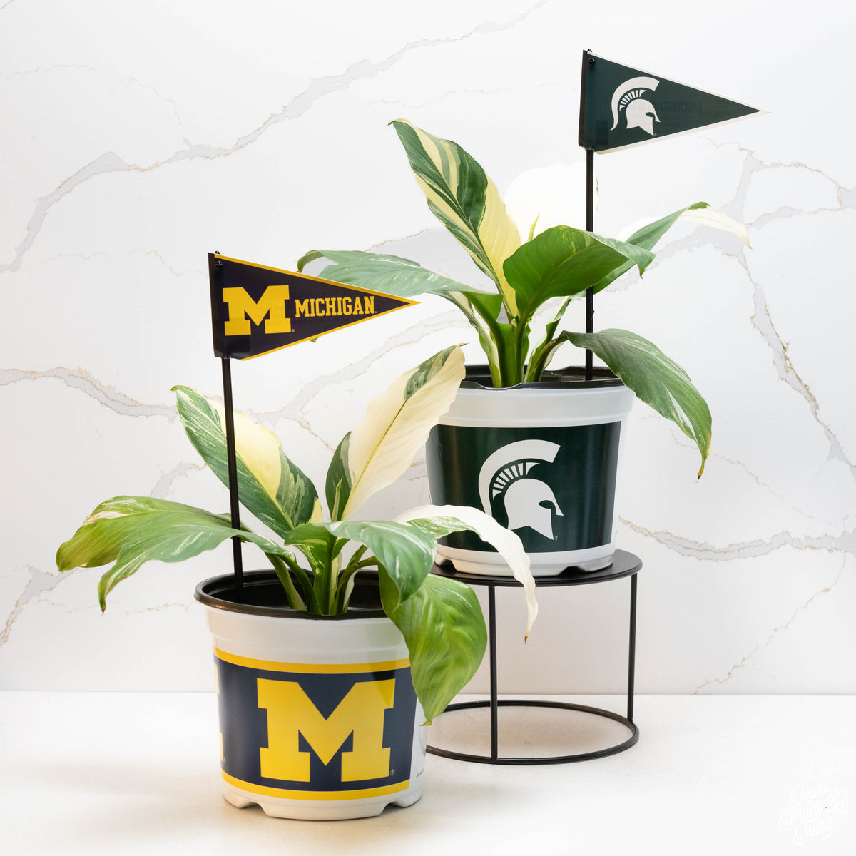 Michigan State University (MSU) 7.5 in Pots™ (Made in USA) 2pc/set ...