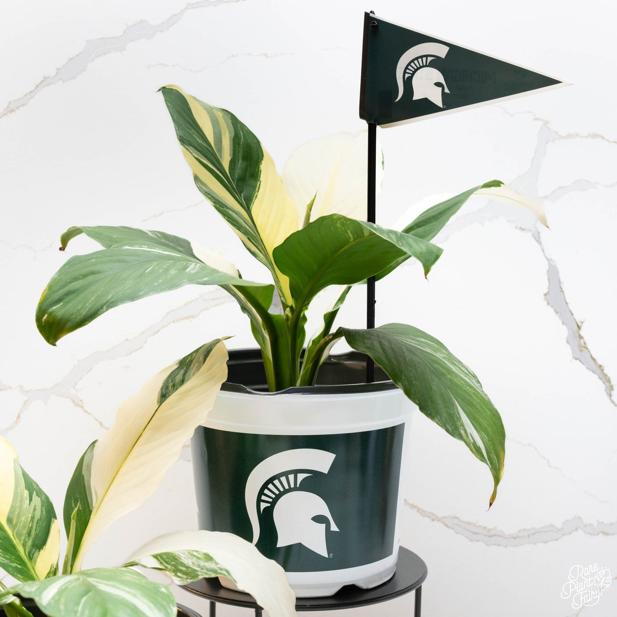 Michigan State University (MSU) 7.5 in Pots™ (Made in USA) 2pc/set ...
