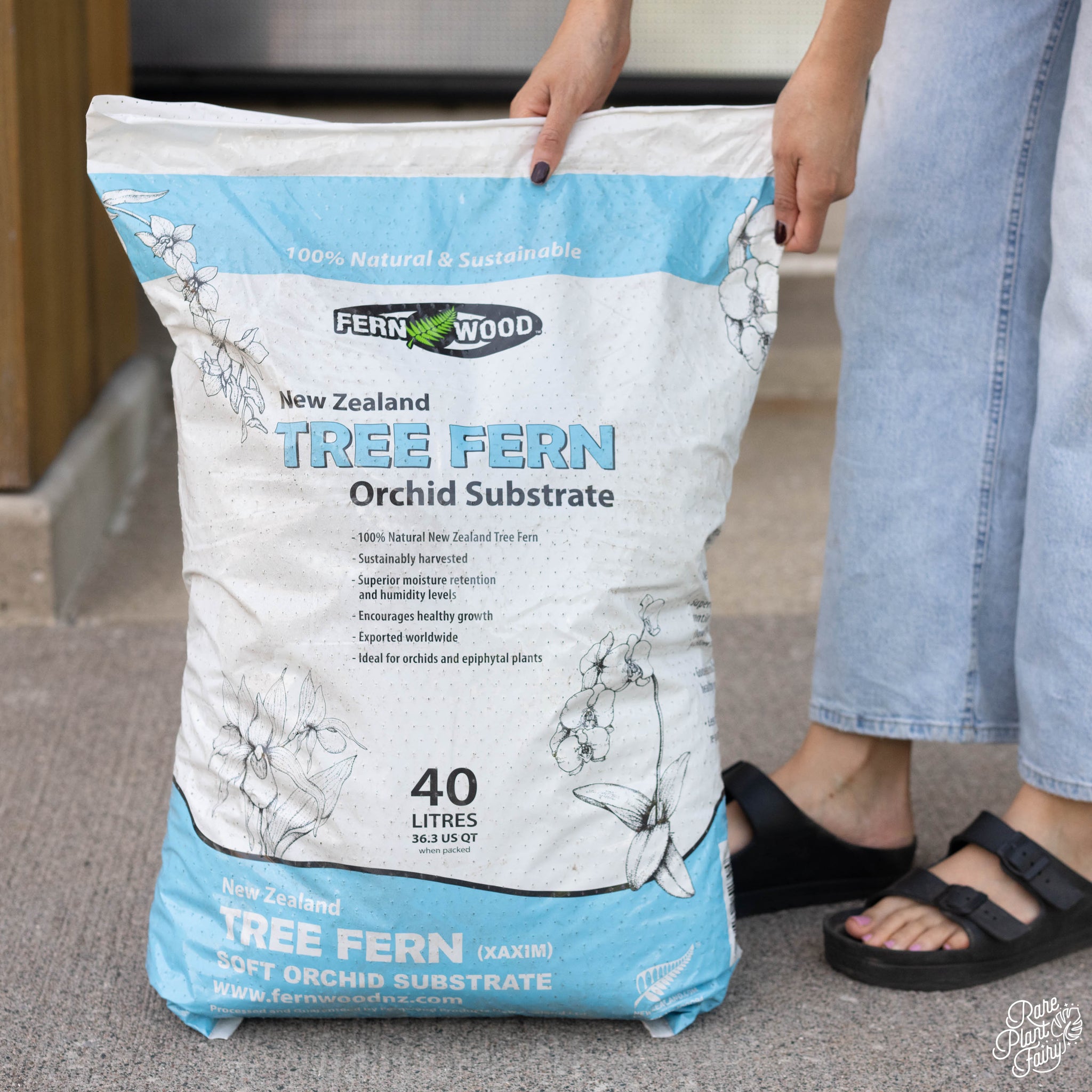 New Zealand Tree Fern Soft Tropical Substrate – Rare Plant Fairy