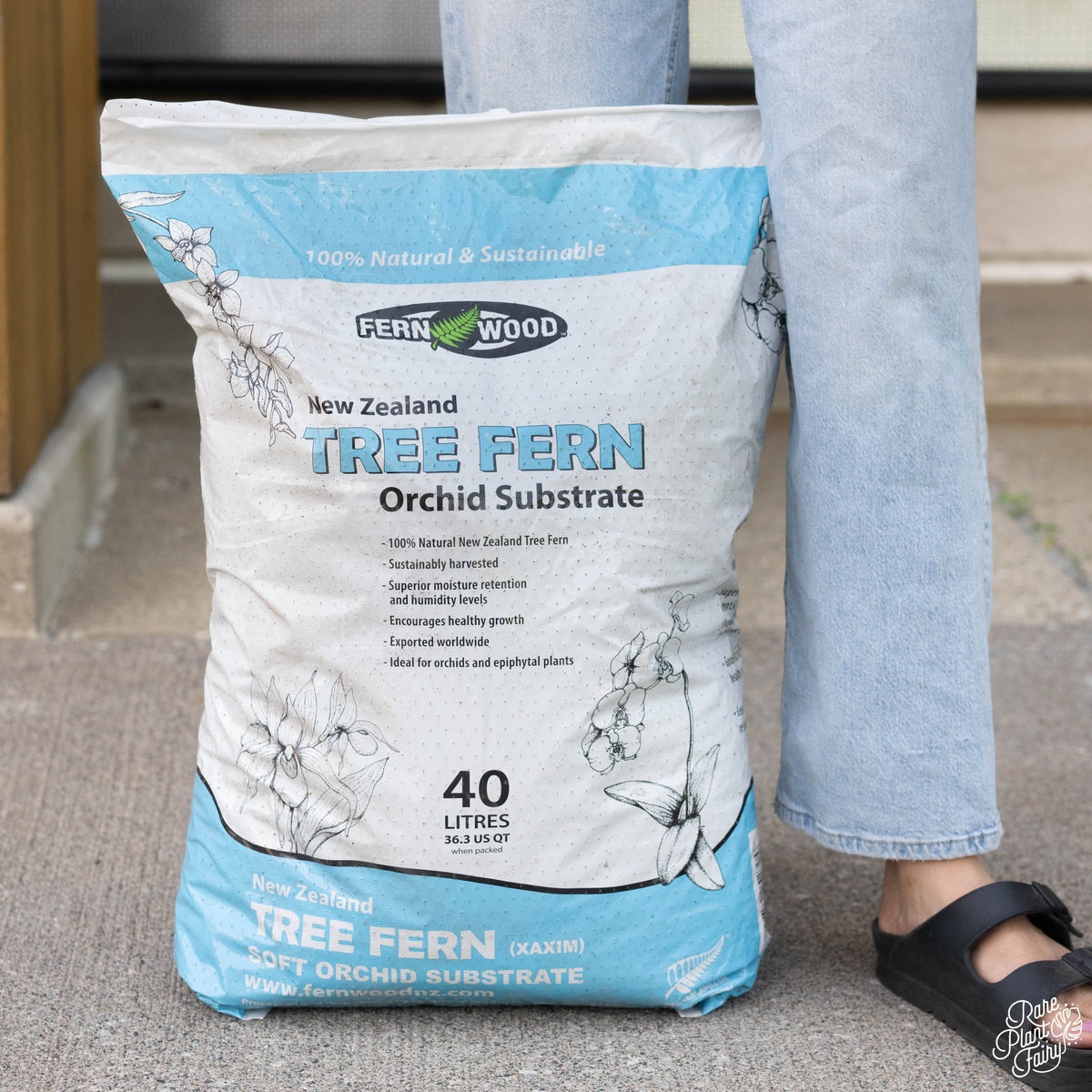 New Zealand Tree Fern Soft Tropical Substrate – Rare Plant Fairy