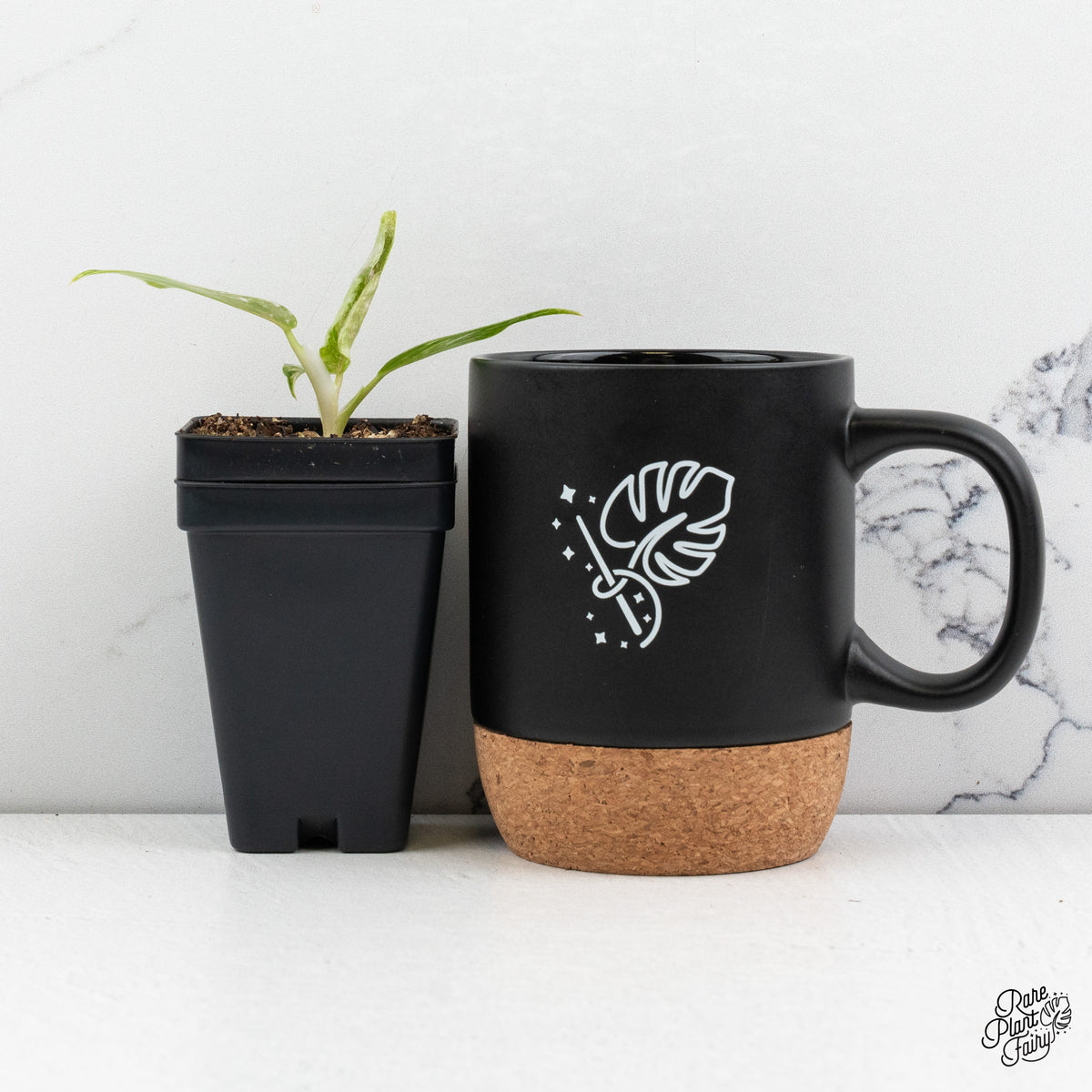 Philodendron 'Scarlet Princess' ('Red Anderson' Mutation) Variegated ...